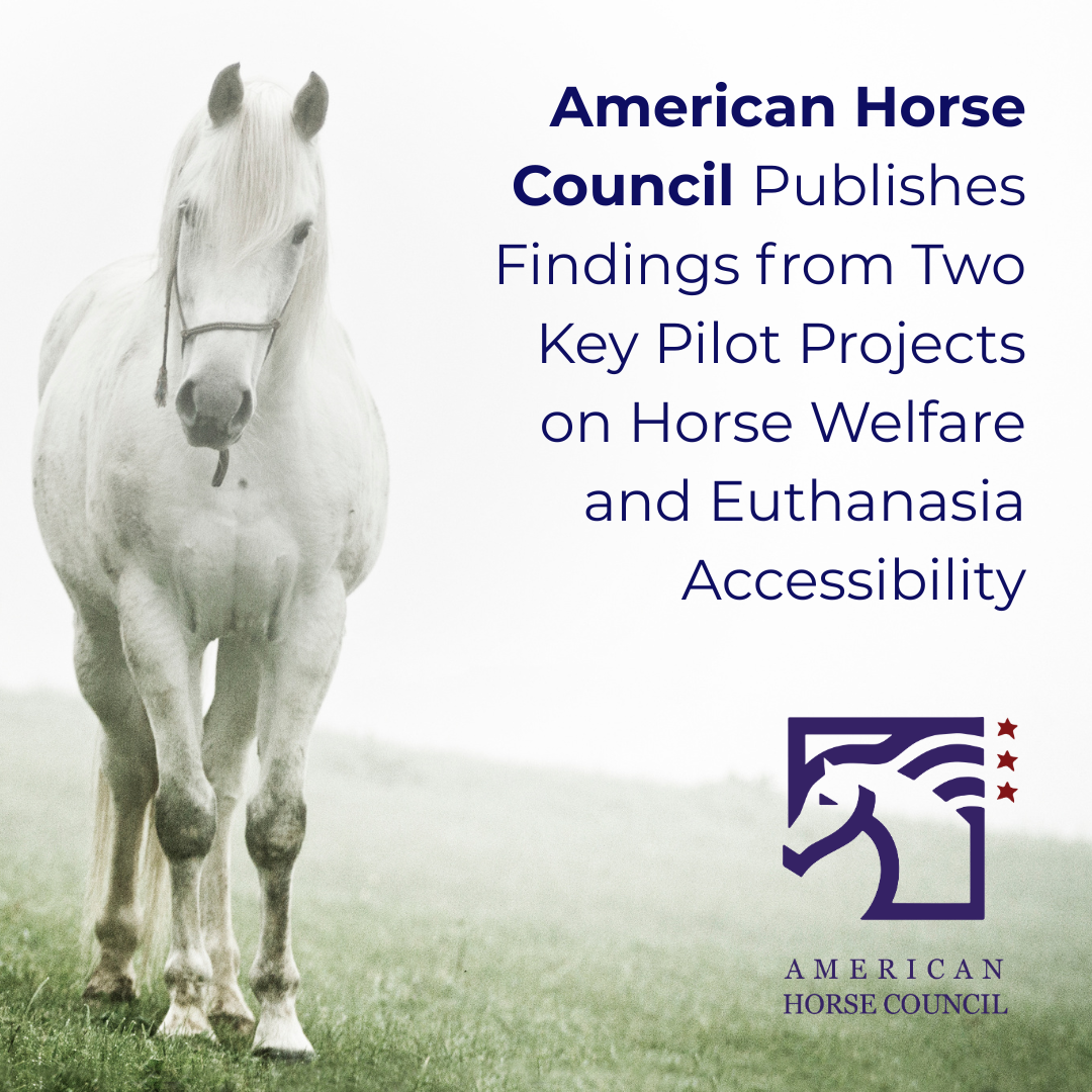 Saying Goodbye: Understanding Equine Disposal Options and Responsible ...